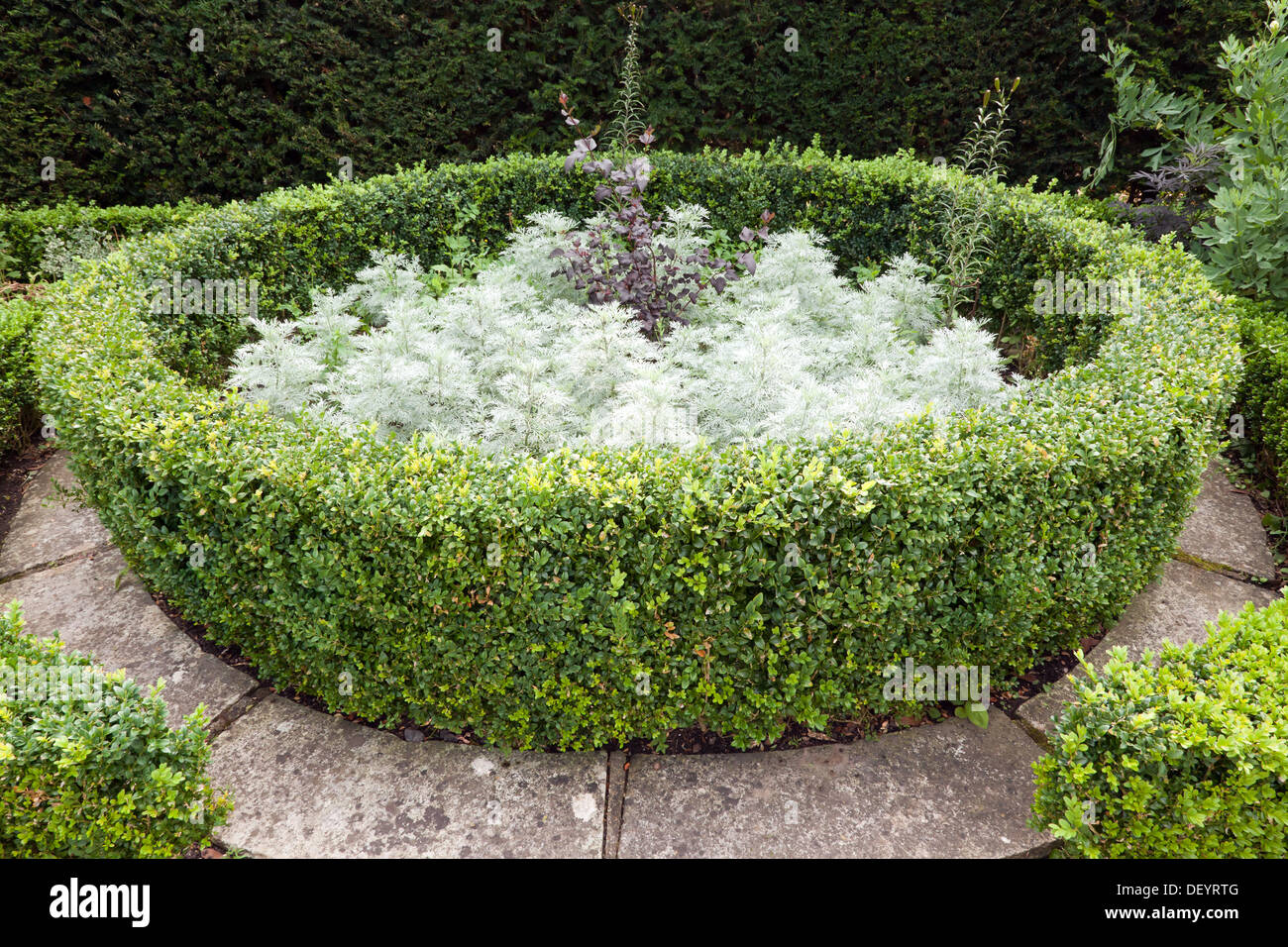 Hedging box hi-res stock photography and images - Alamy