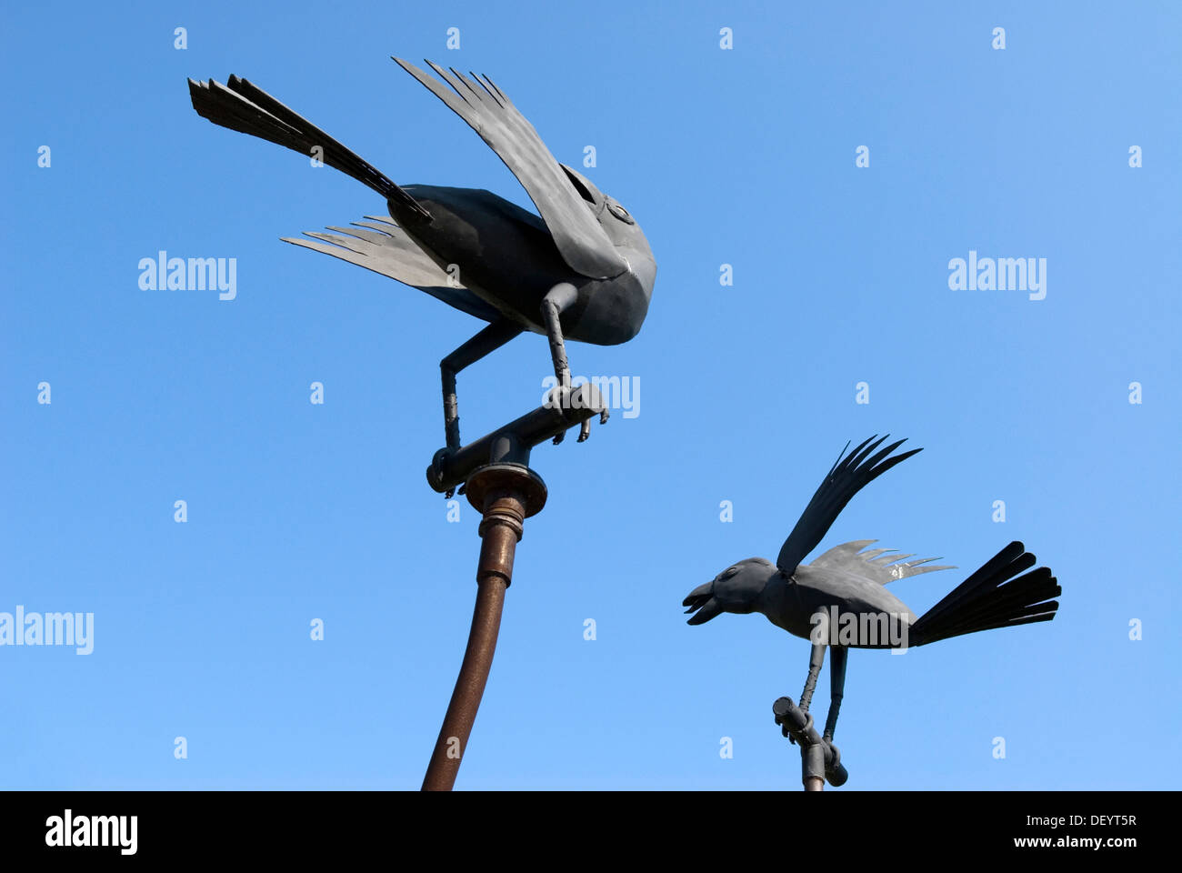 Texas Sculpture Garden Frisco USA Stock Photo - Alamy