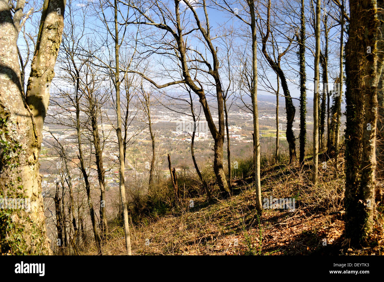 Woods overlooking Chattanooga Tennessee at Point Park Stock Photo - Alamy