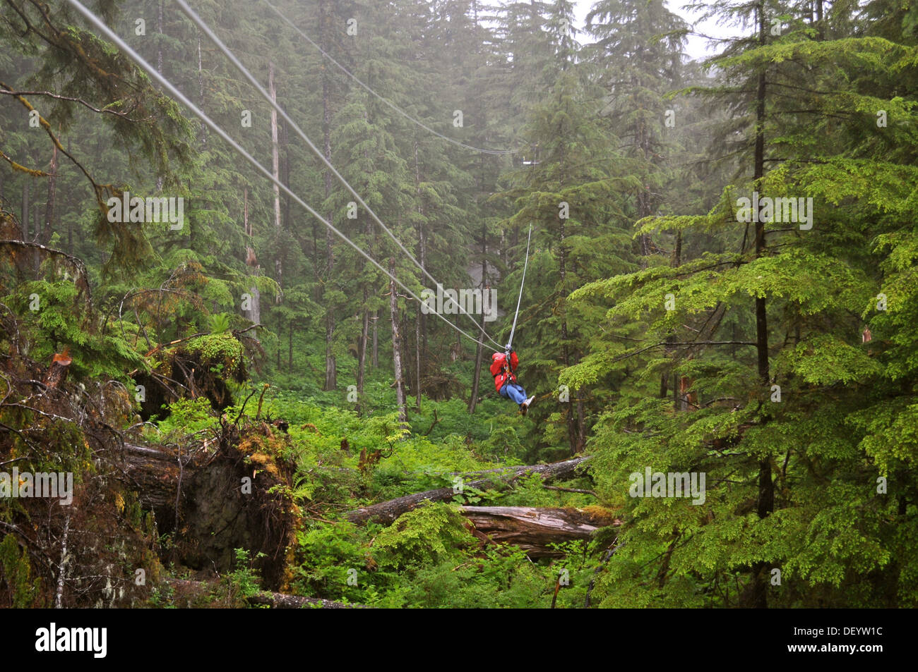 Helmet lining hi-res stock photography and images - Alamy