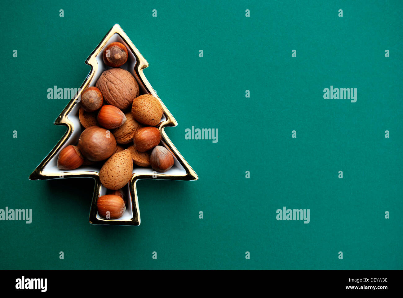 Various Tree Species High Resolution Stock Photography and Images - Alamy