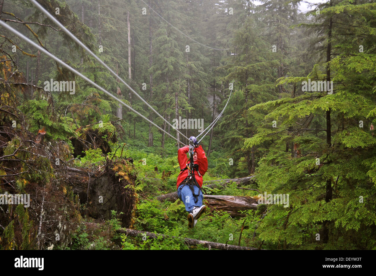 Boy ziplining hi-res stock photography and images - Alamy
