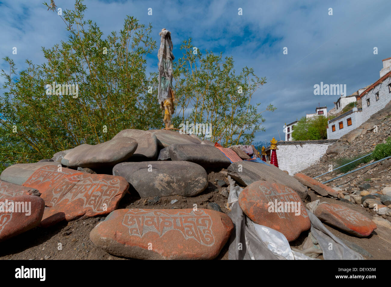 Prayer flags in ladakh hi-res stock photography and images - Alamy