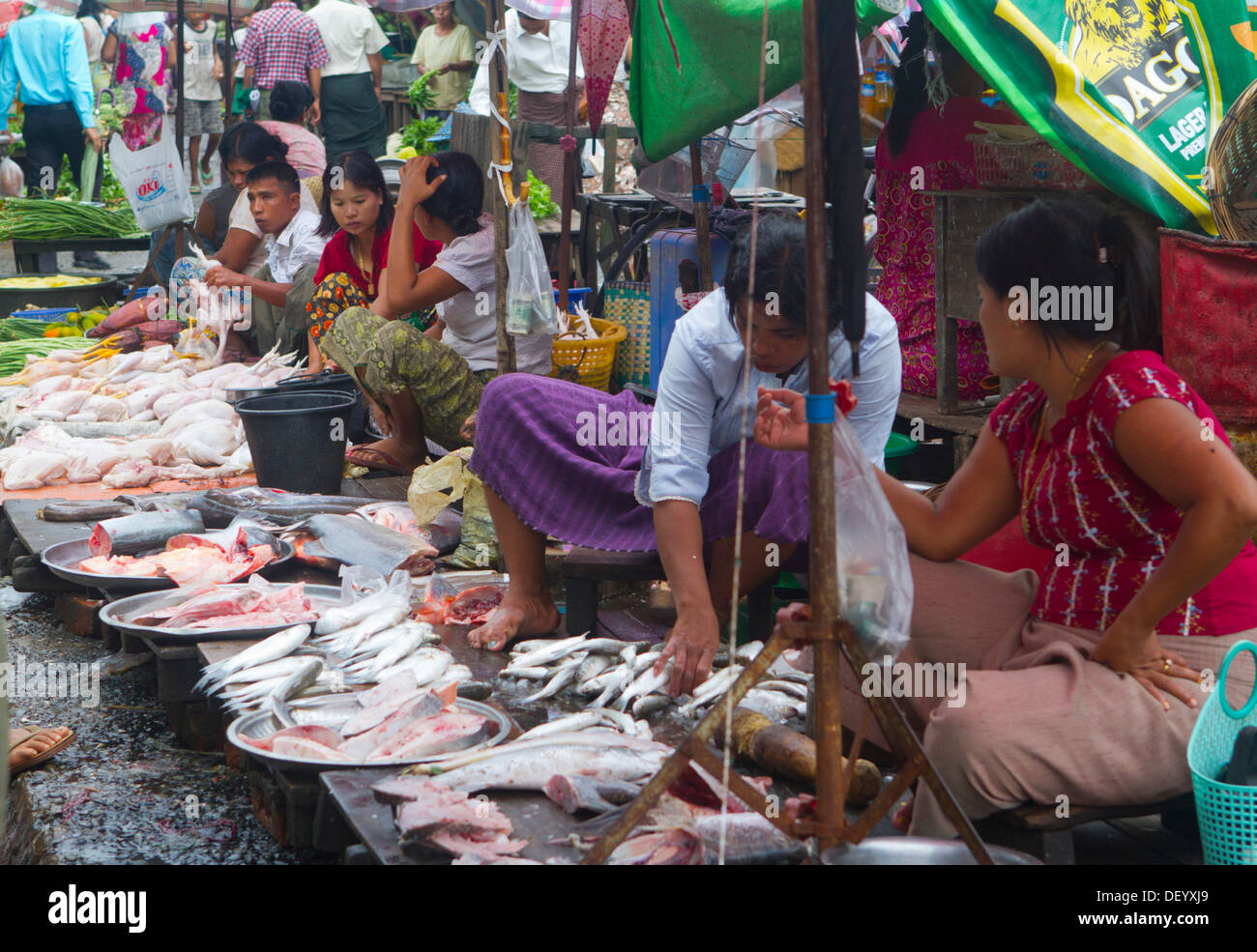 Women sell seafood at the fish market in Sittwe, Burma Stock Photo - Alamy