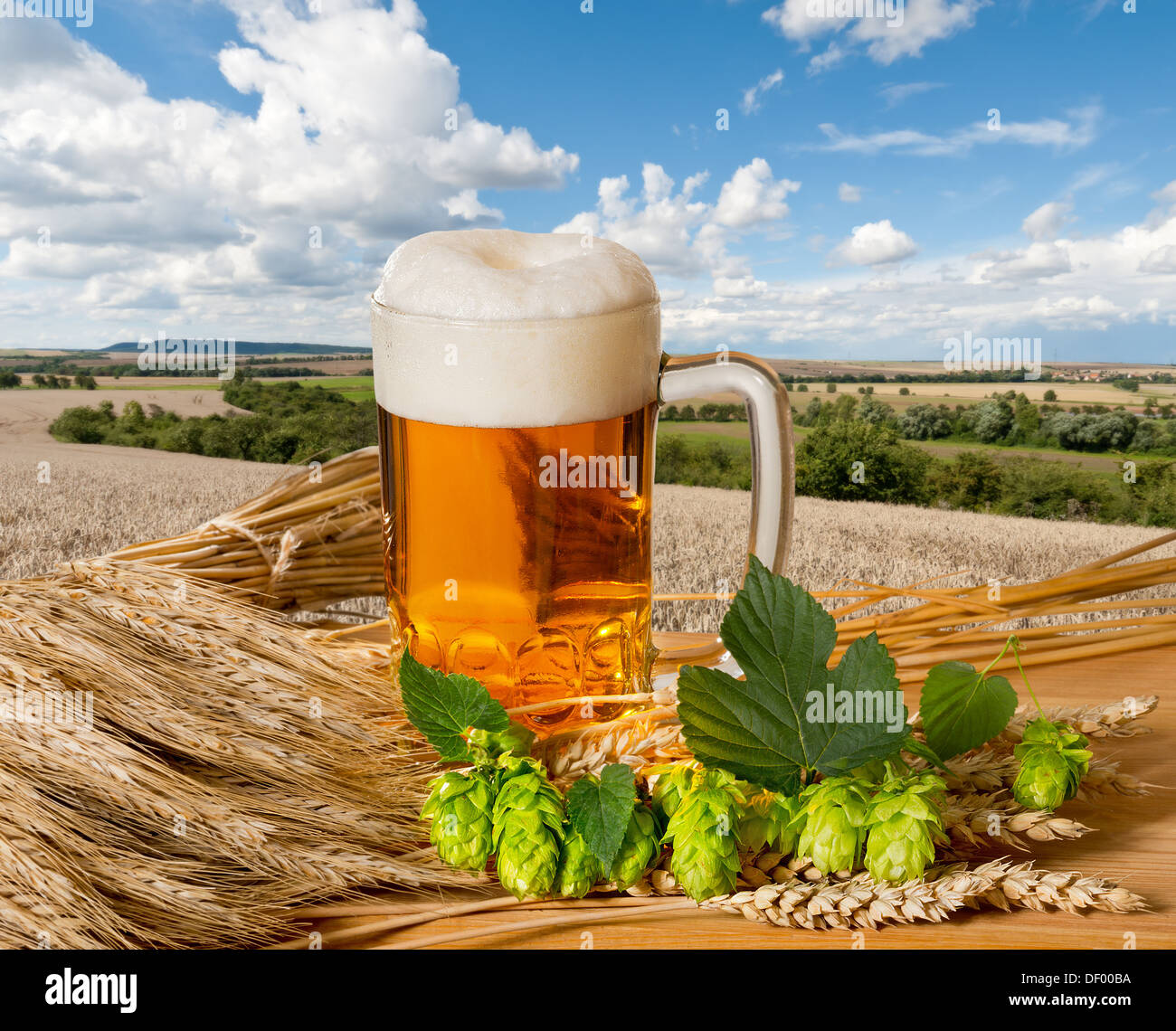 beer with raw material for beer production Stock Photo - Alamy