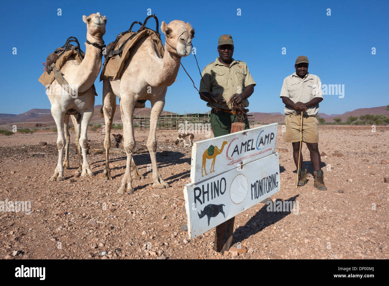 Save the Rhino Trust camel camp patrol team Hans Ganaseb (left) and ...