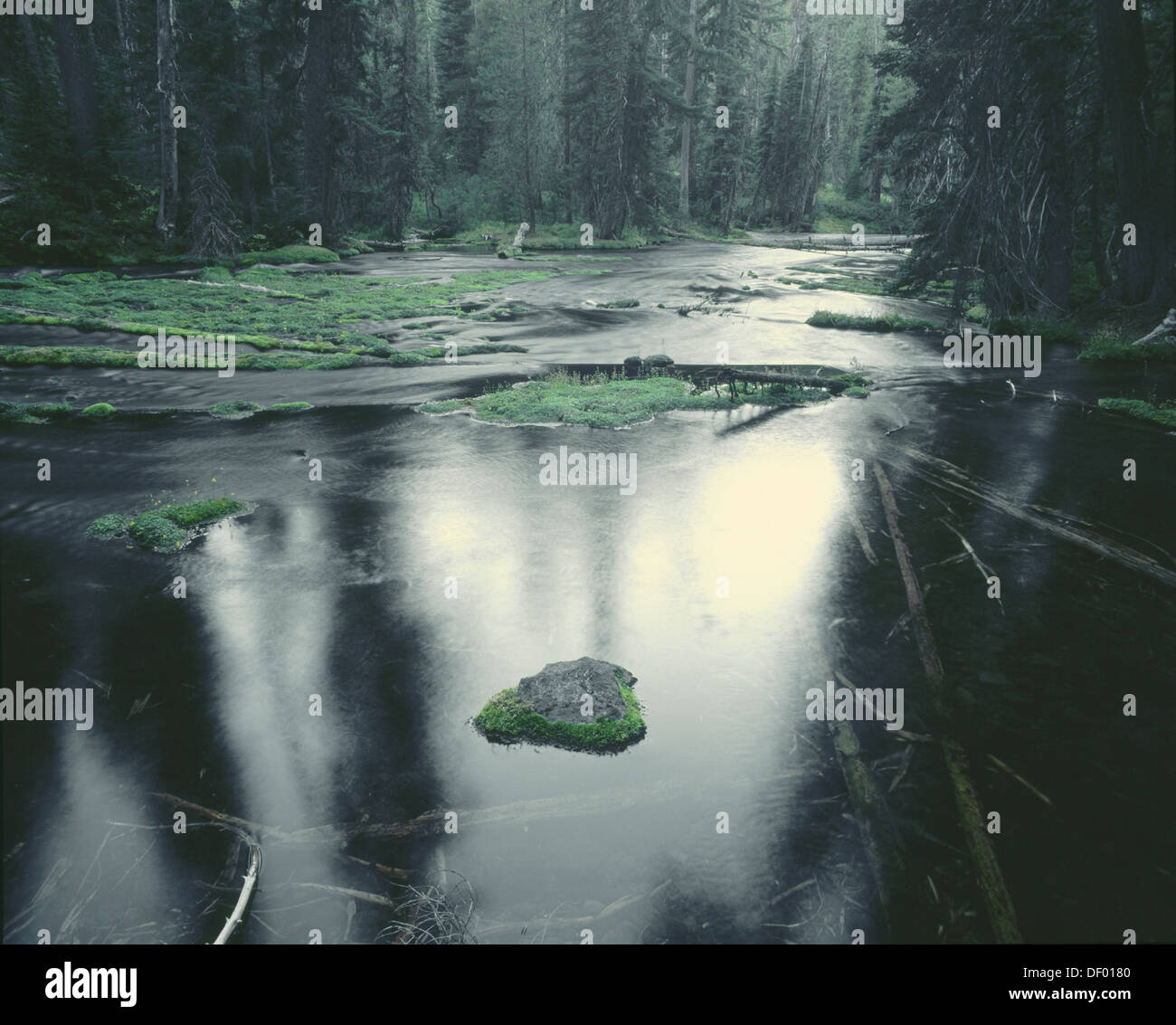 Headwaters of the Rogue River. Crater Lake National Park. Oregon. USA Stock Photo - Alamy