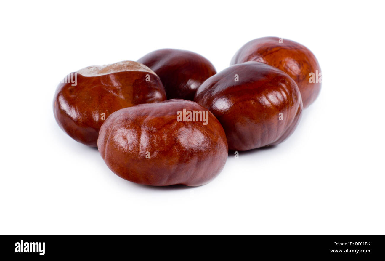 Fresh edible whole sweet chestnuts used as a cooking ingredient, for ...