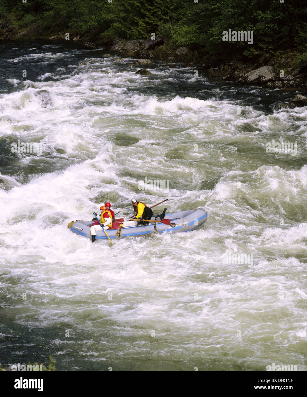 Lochsa river, idaho hi-res stock photography and images - Alamy