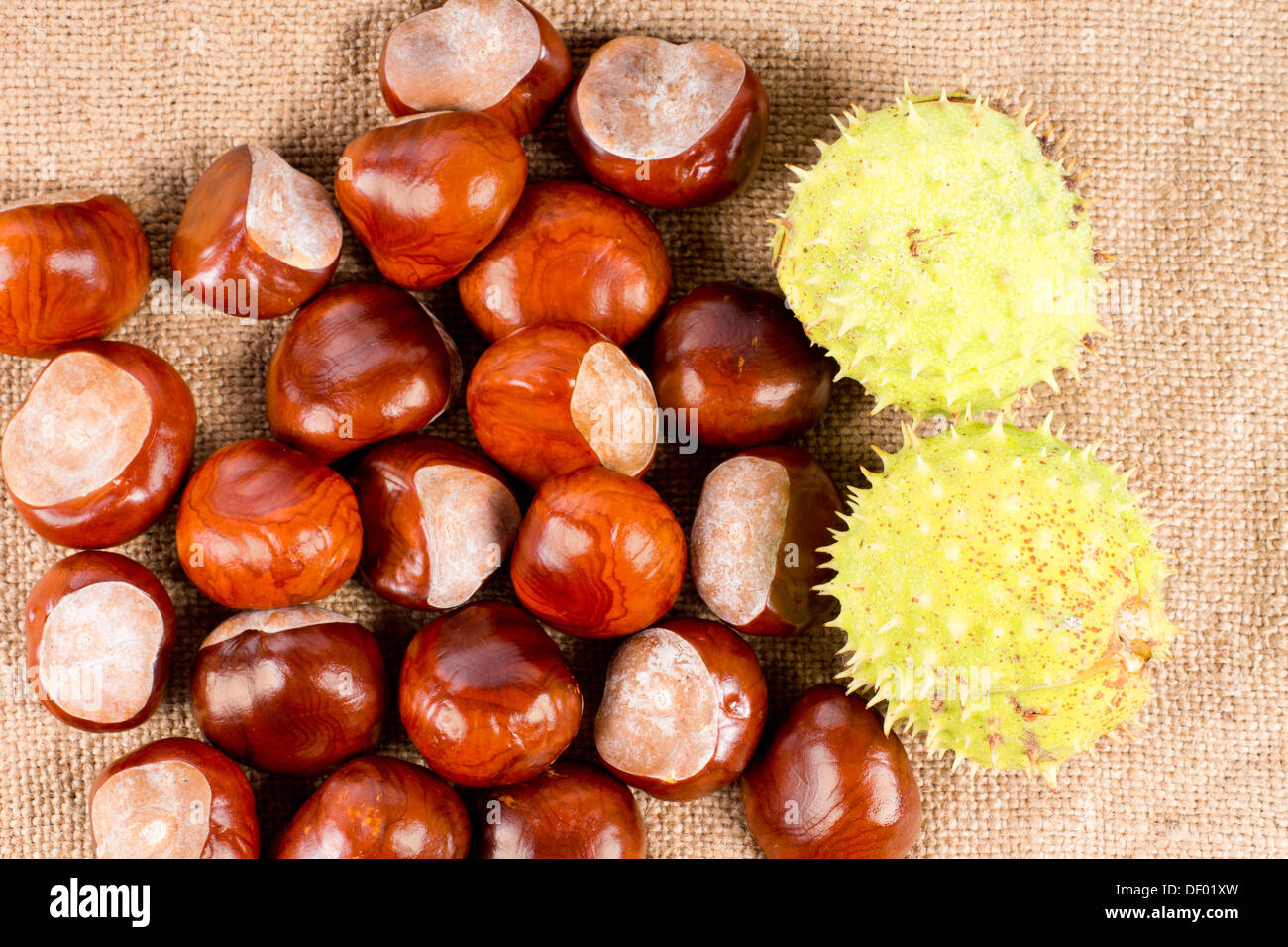 Chestnut skins hi-res stock photography and images - Alamy