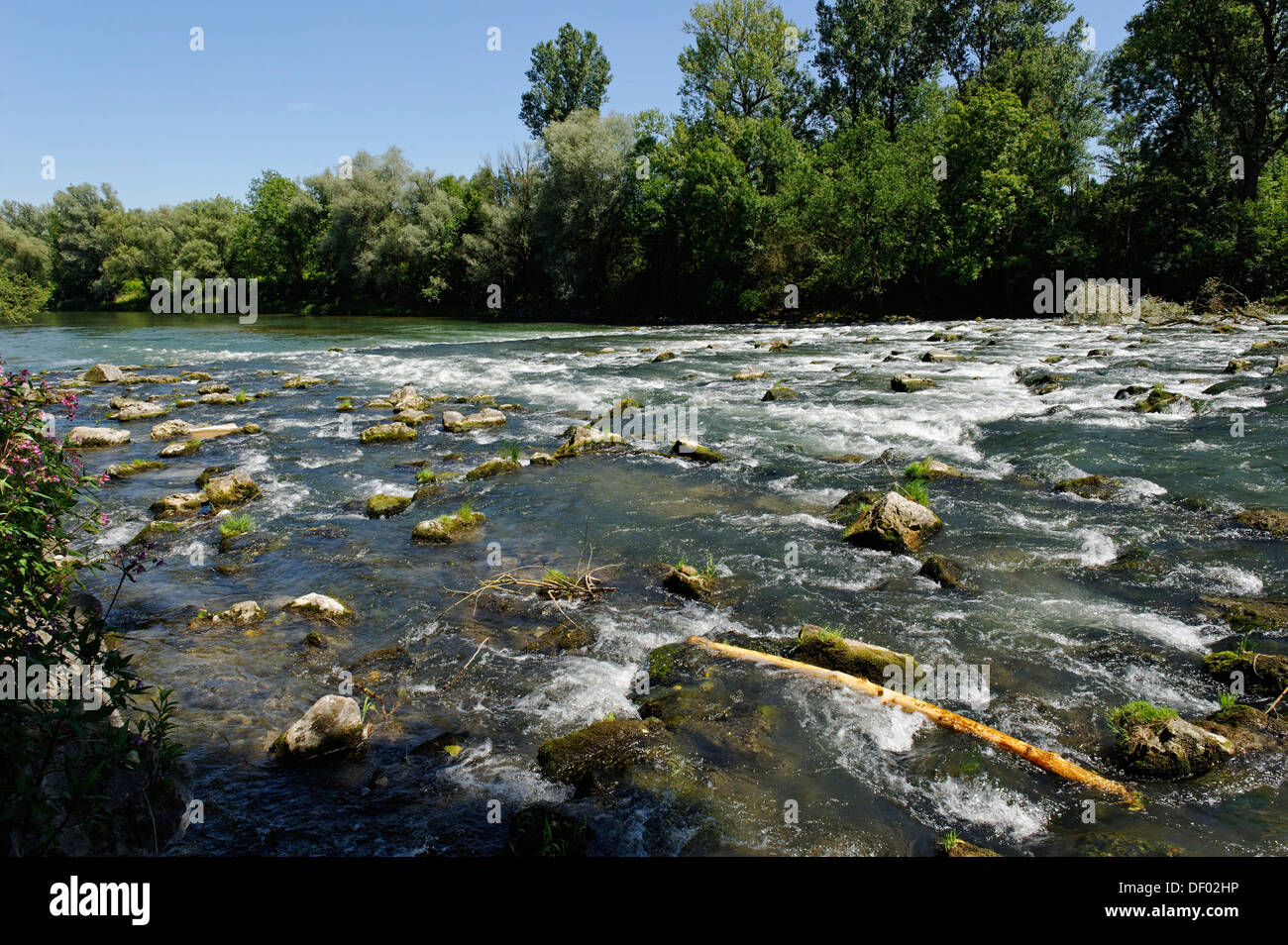 Isar river between Ismaning and Freising, Upper Bavaria, Bavaria Stock ...