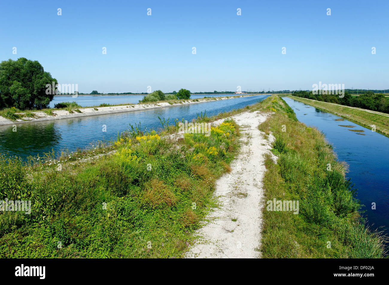 Artifical lake, bird sanctuary near Ismaning, Upper Bavaria, Bavaria ...