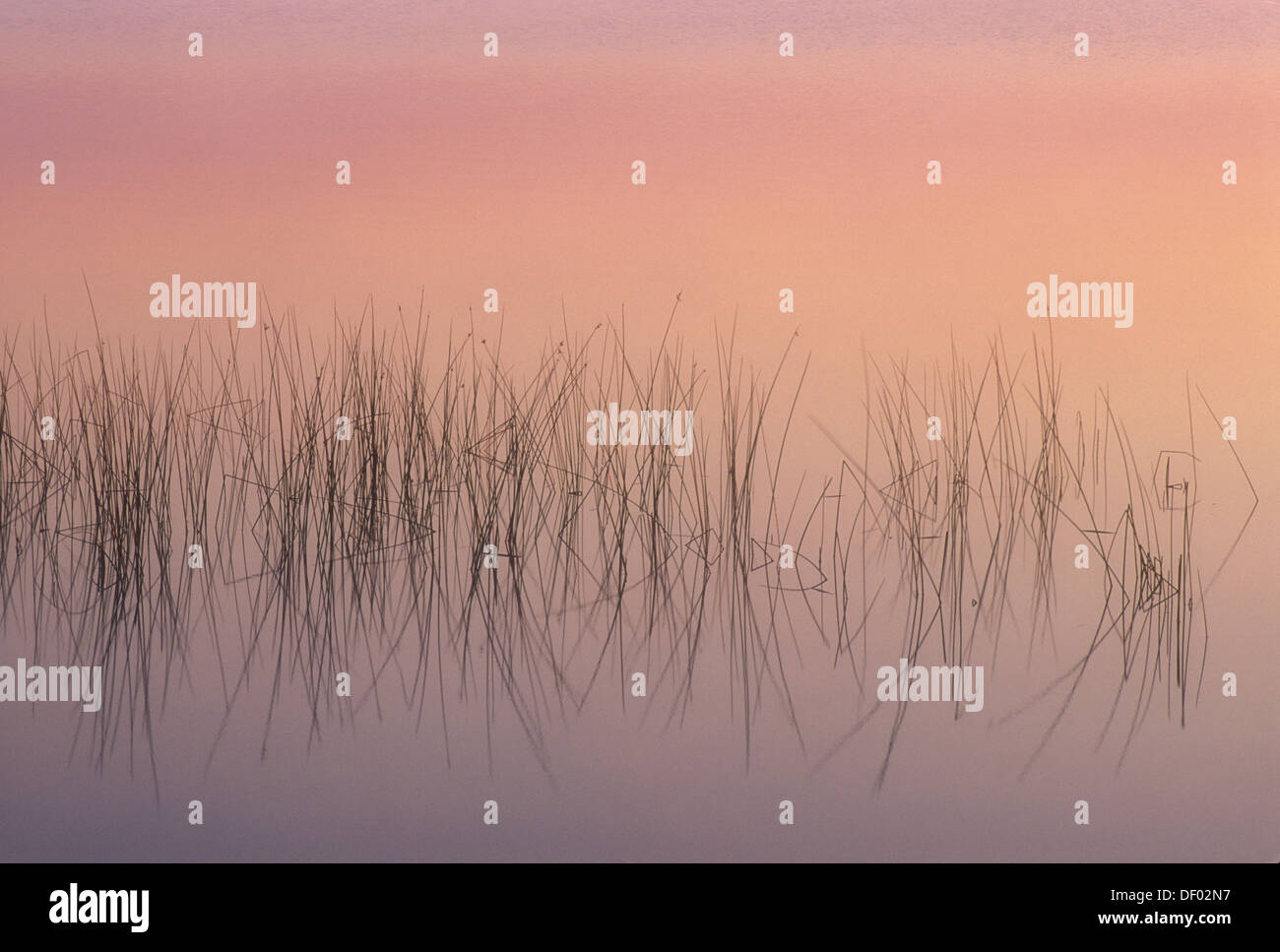 Manitoulin island mindemoya hi-res stock photography and images - Alamy