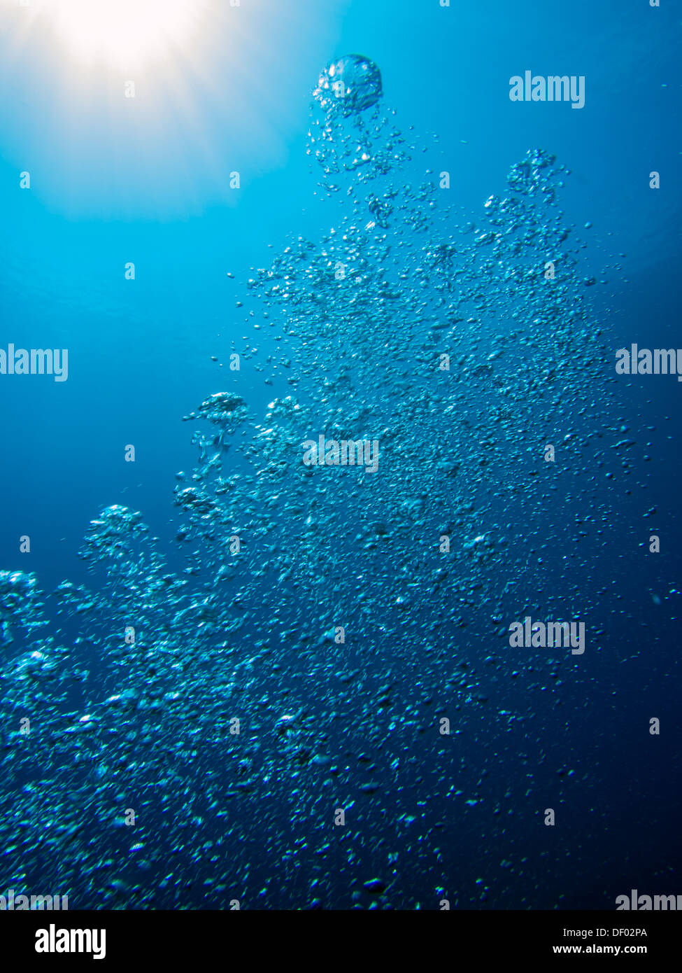 Bubbles from a scuba diver in the ocean rising to the surface Stock ...