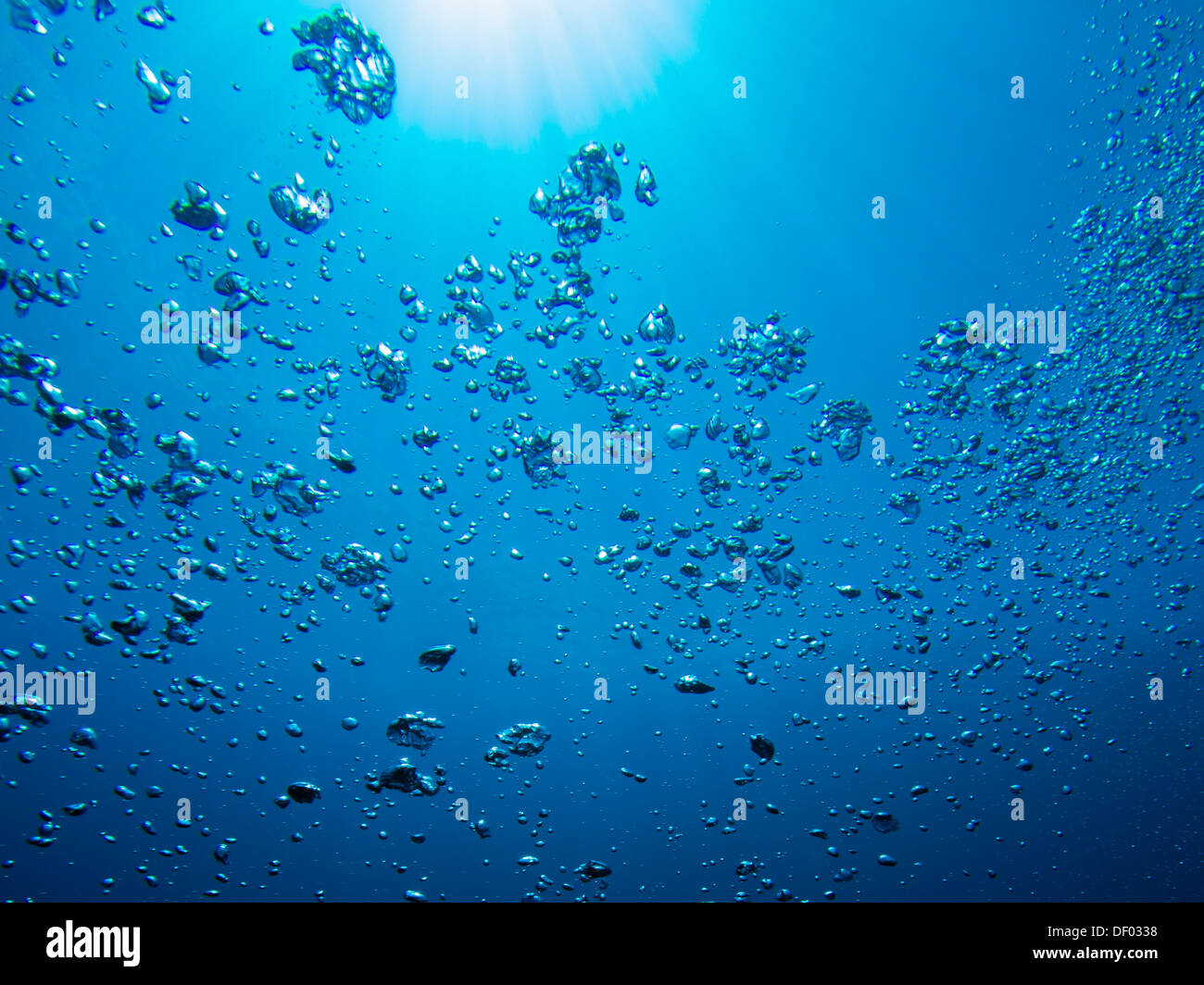 Bubbles from a scuba diver in the ocean rising to the surface Stock ...