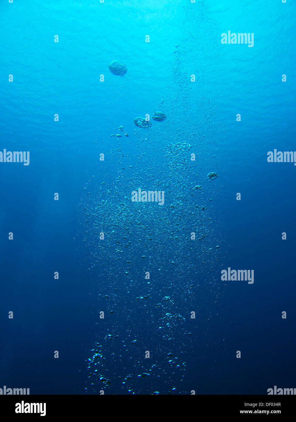 Bubbles from a scuba diver in the ocean rising to the surface Stock ...