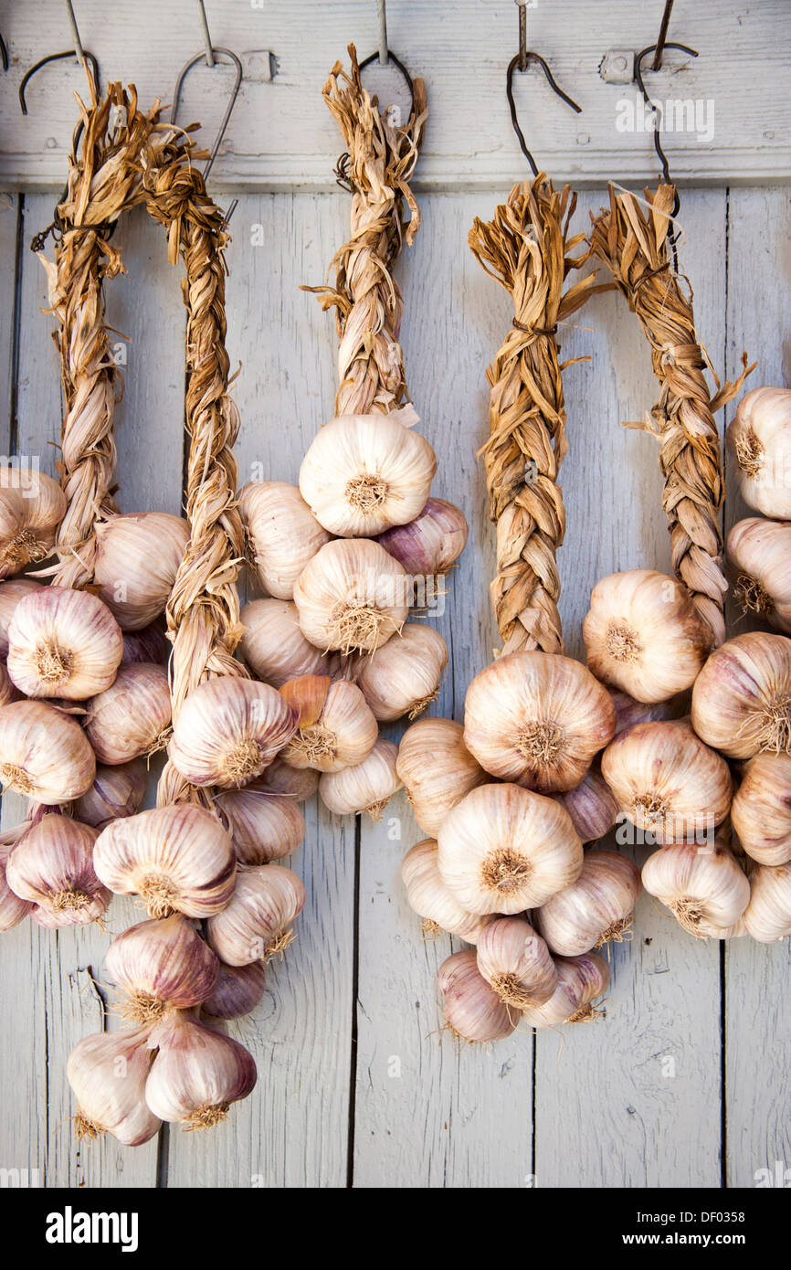 Garlic braids, in Sault, Provence, France, Europe Stock Photo - Alamy