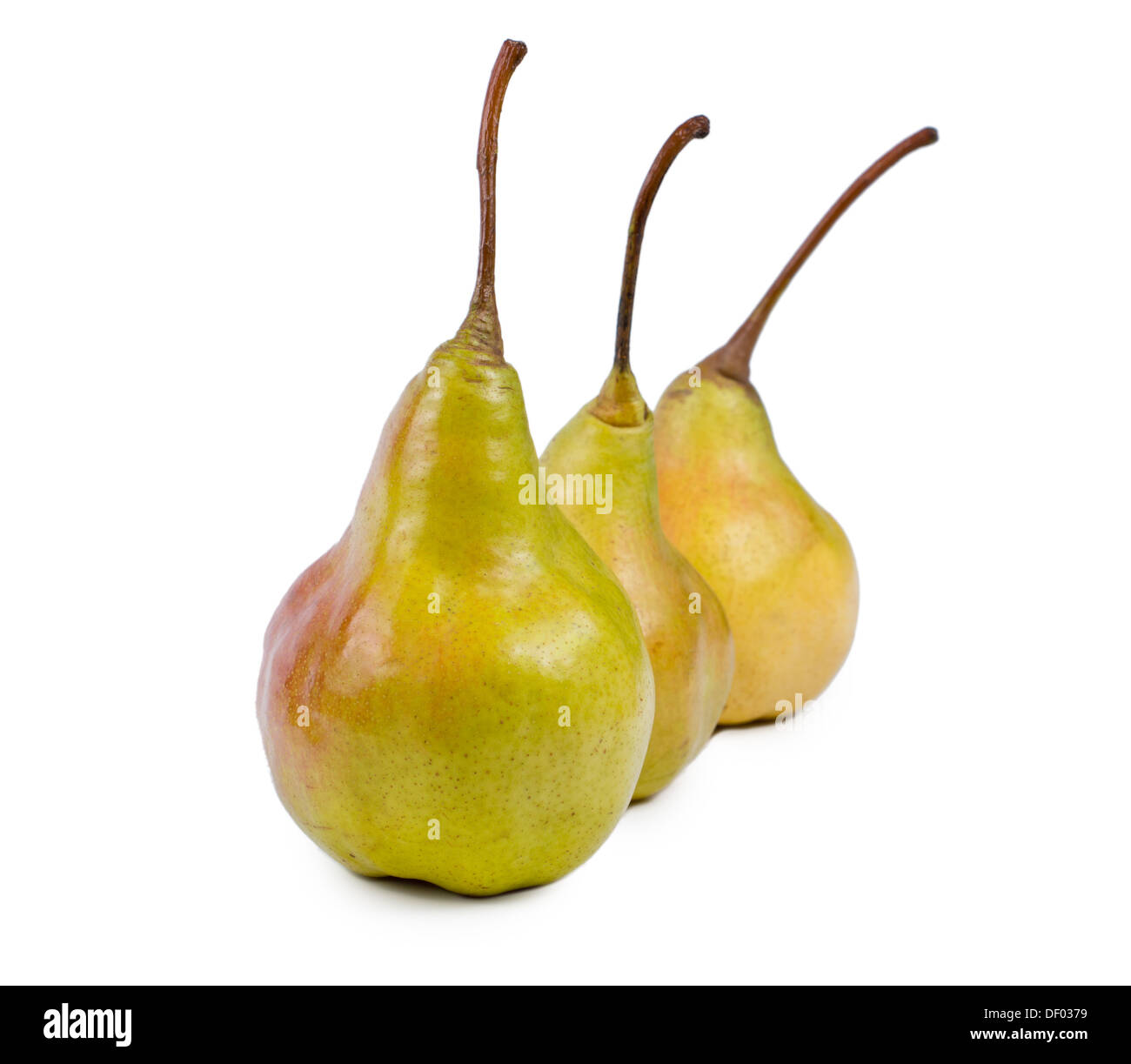 Angled receding row of three fresh ripe yellow pears with attached ...