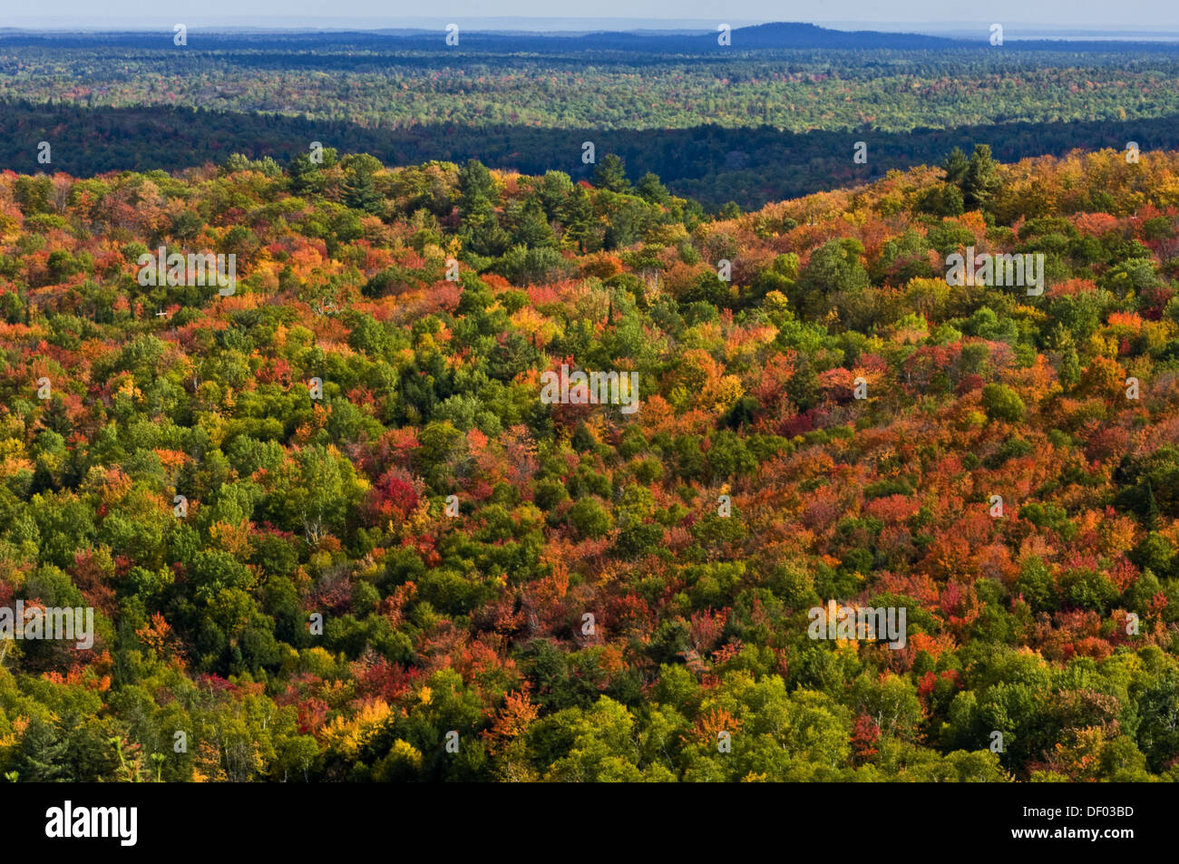 Northern canada forest fire hi-res stock photography and images - Alamy