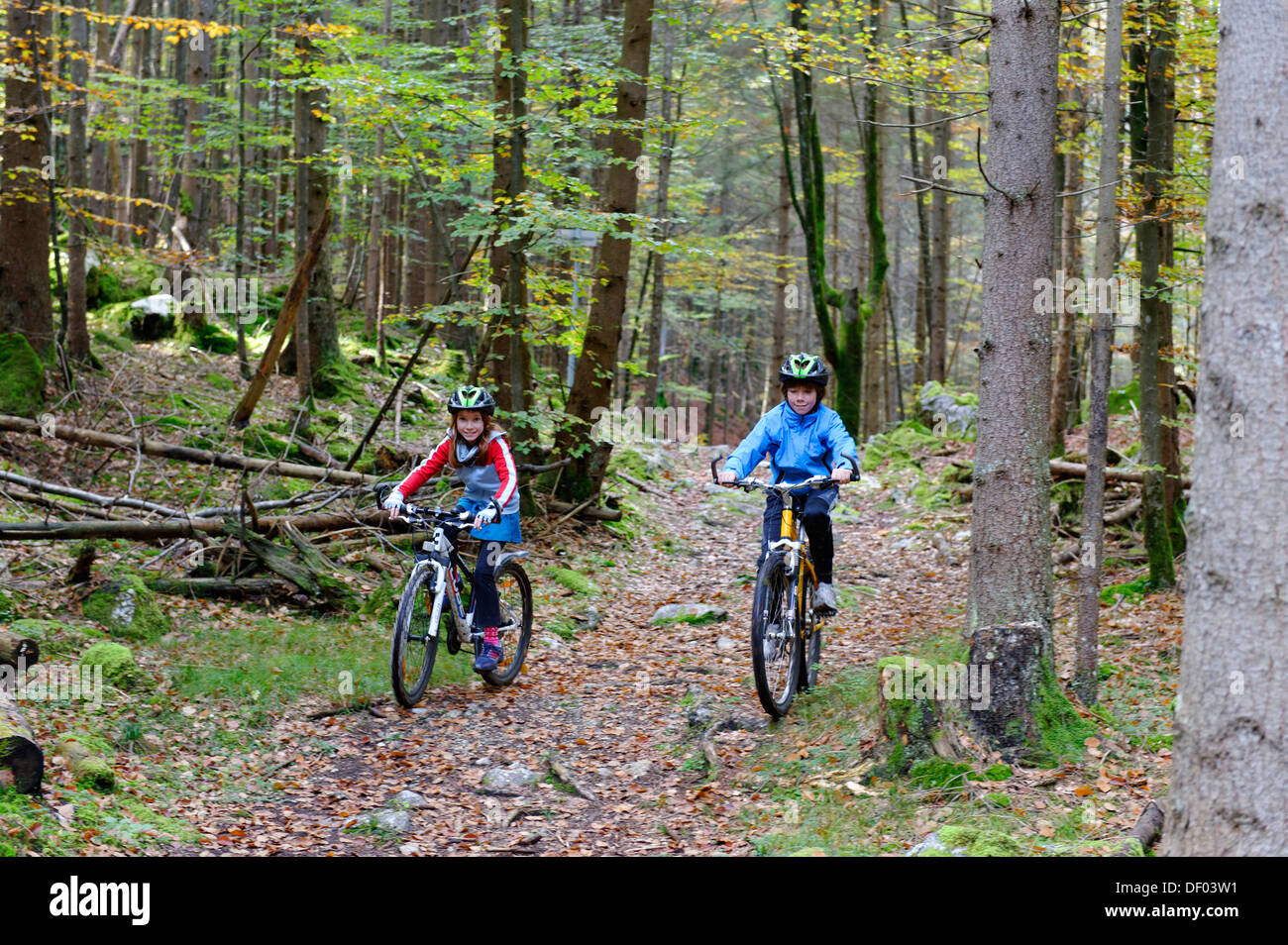Boys riding mountain cycles in forest hi-res stock photography and ...
