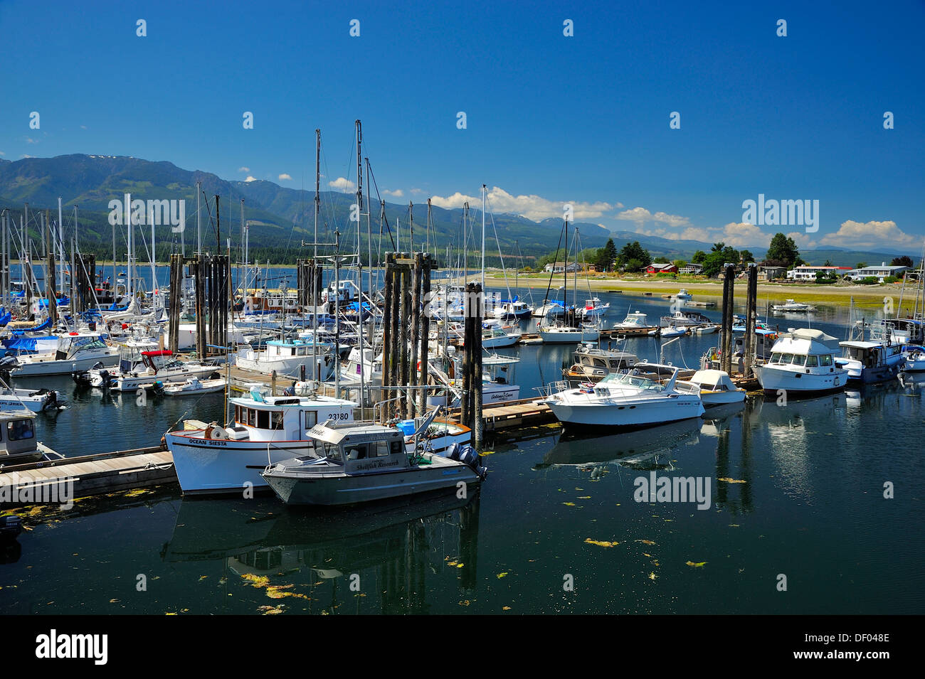 Boats anchored at Deep Bay marina on Vancouver Island British Columbia ...