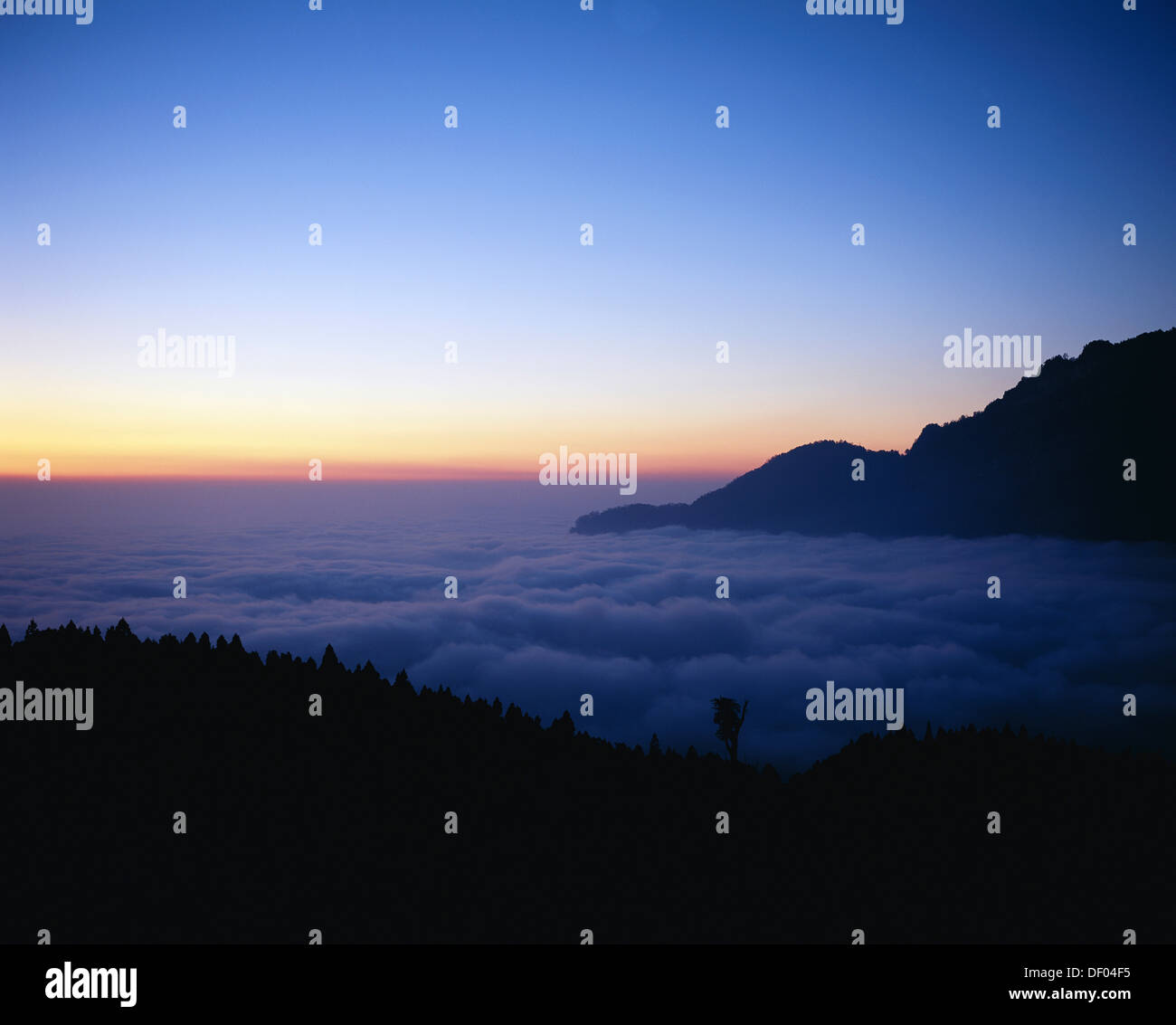 Alishan mountains hi-res stock photography and images - Alamy