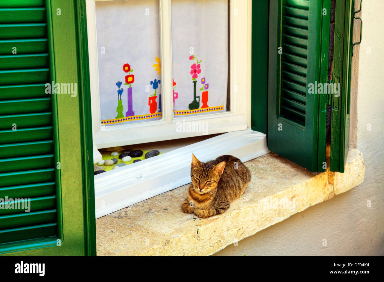 Tabby cat sat sleeping on window sill ledge in Lefkada Lefkas Town ...