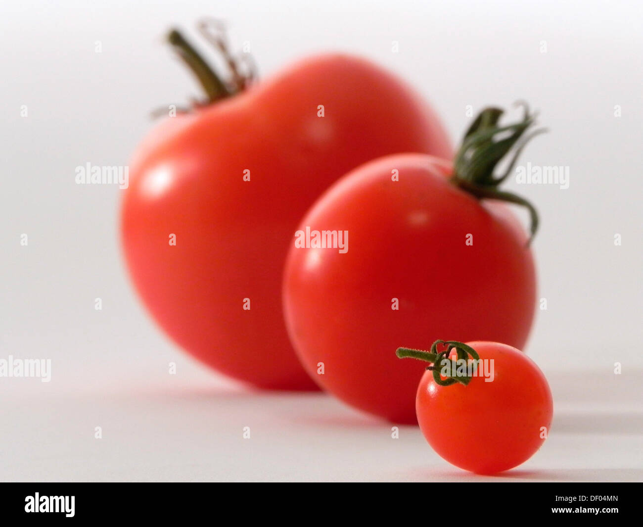 Standard sizes hi-res stock photography and images - Alamy