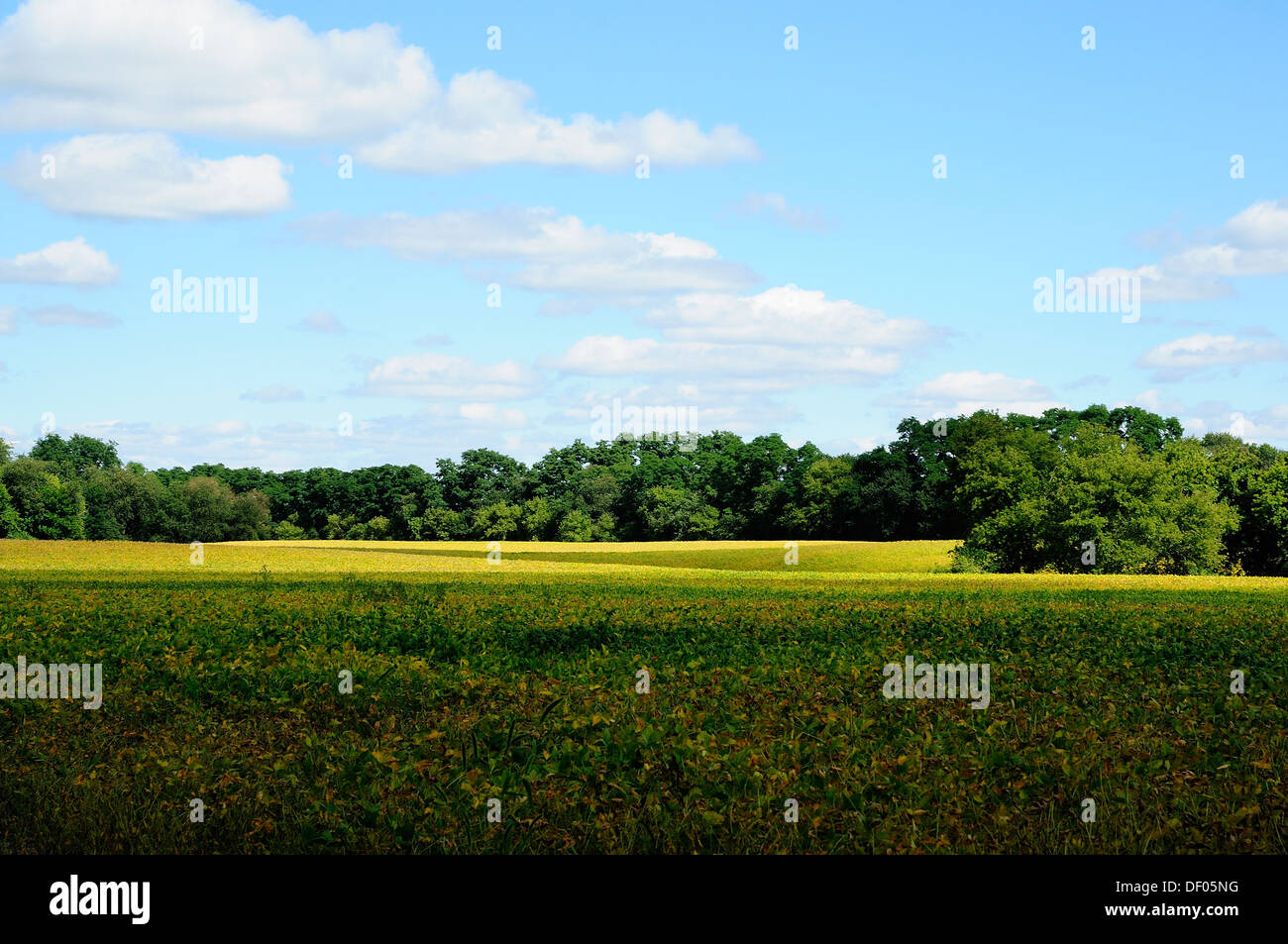 Farm illinois landscape hi-res stock photography and images - Alamy