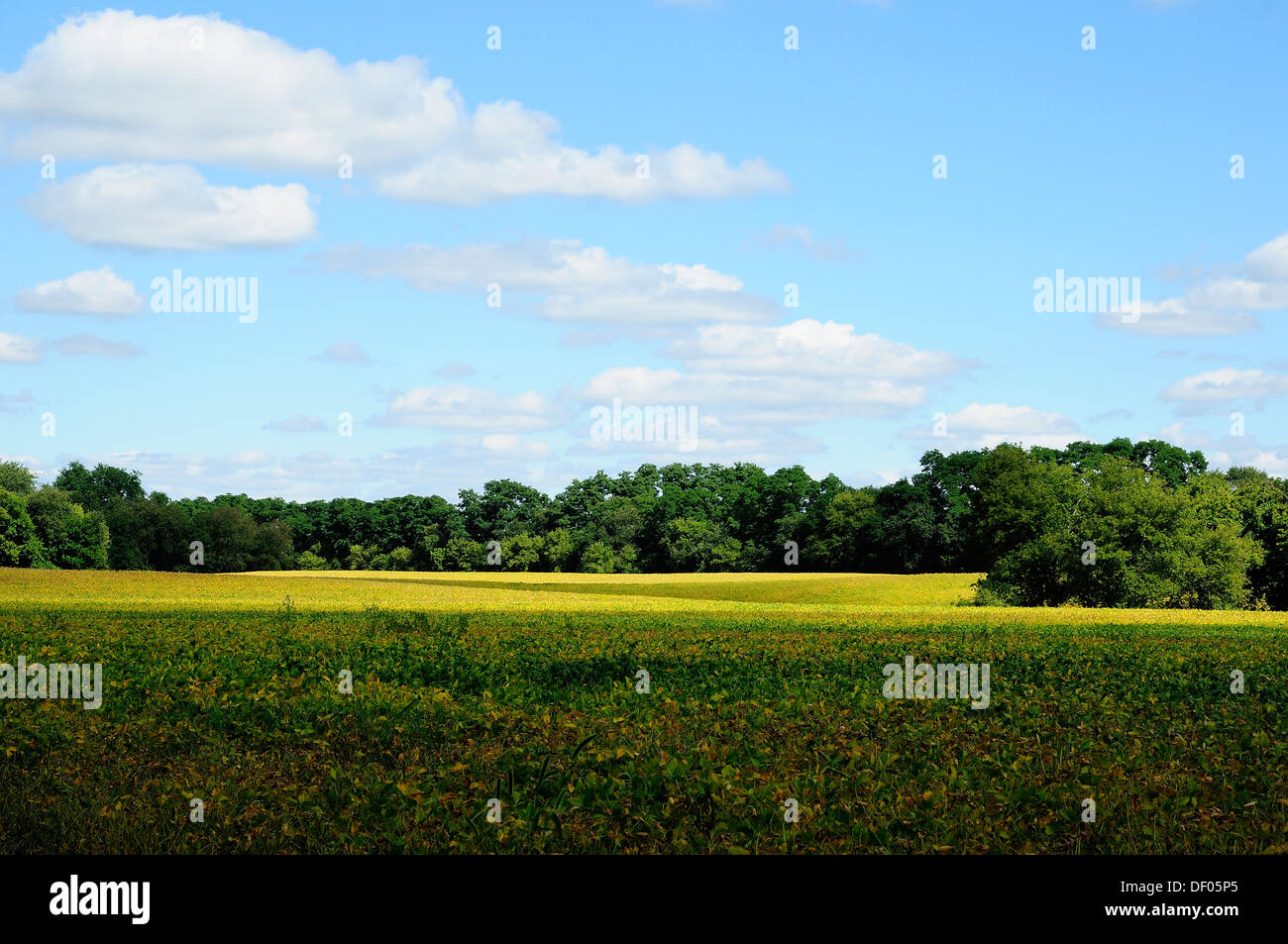 Illinois landscape hi-res stock photography and images - Alamy