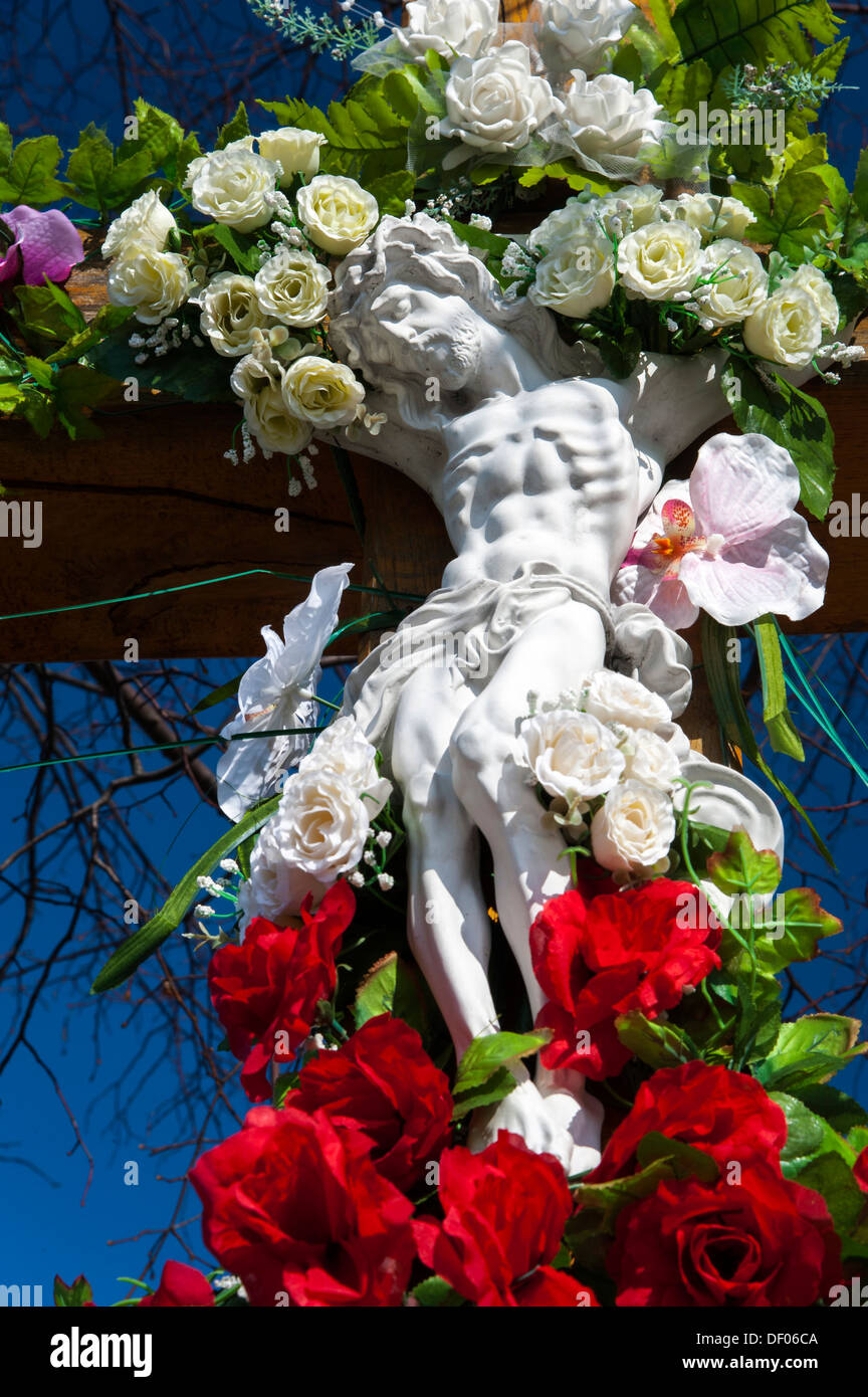 Crucifix flowers hi-res stock photography and images - Alamy