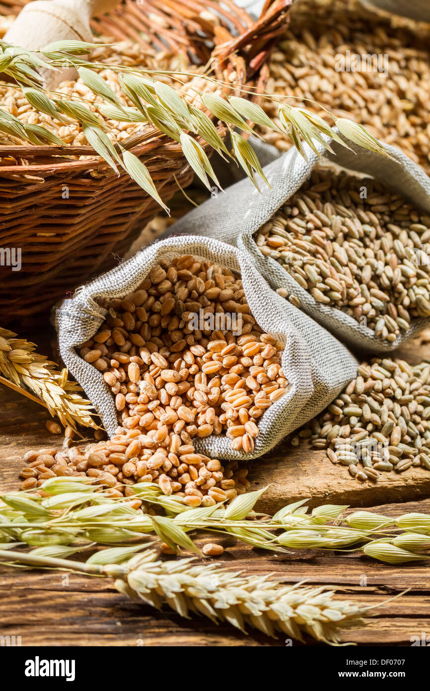 Barley rye still life hi-res stock photography and images - Alamy