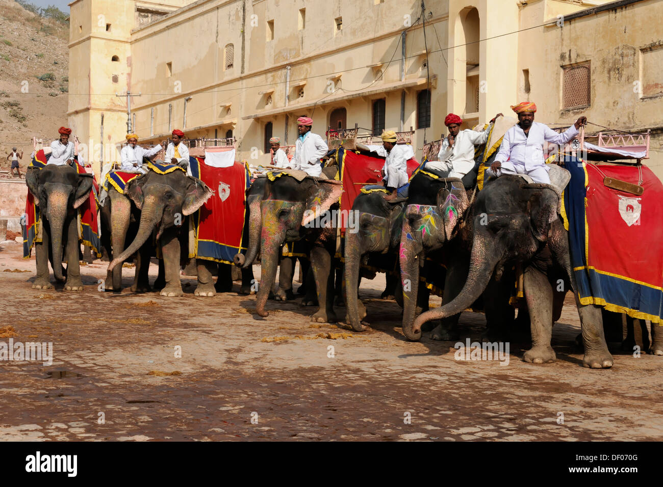 Elephant ride to Amber Palace, Rajasthan, northern India, Asia Stock ...