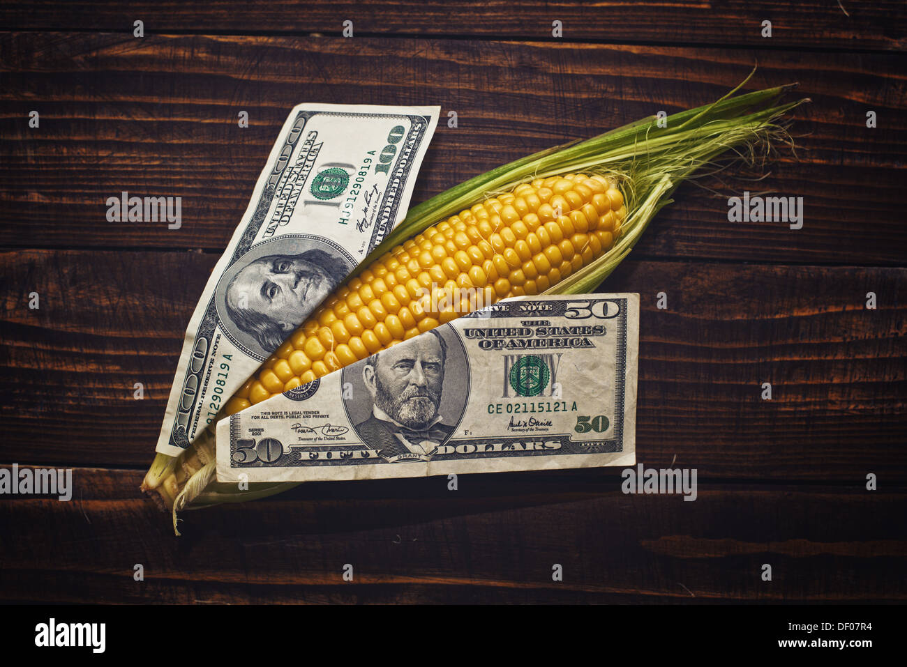 Corn is money. Ear of corn with dollar bills as conceptual image for ...