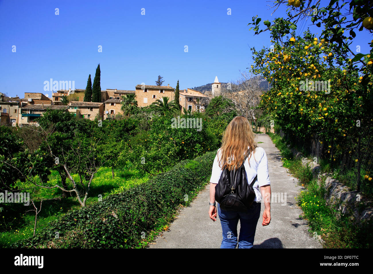 Biniaraix Mallorca Hi res Stock Photography And Images Alamy biniaraix-mallorca-hi-res-stock-photography-and-images-alamy