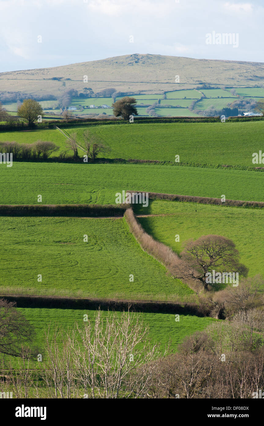 Distant view of Western Beacon on Dartmoor with green fields and ...