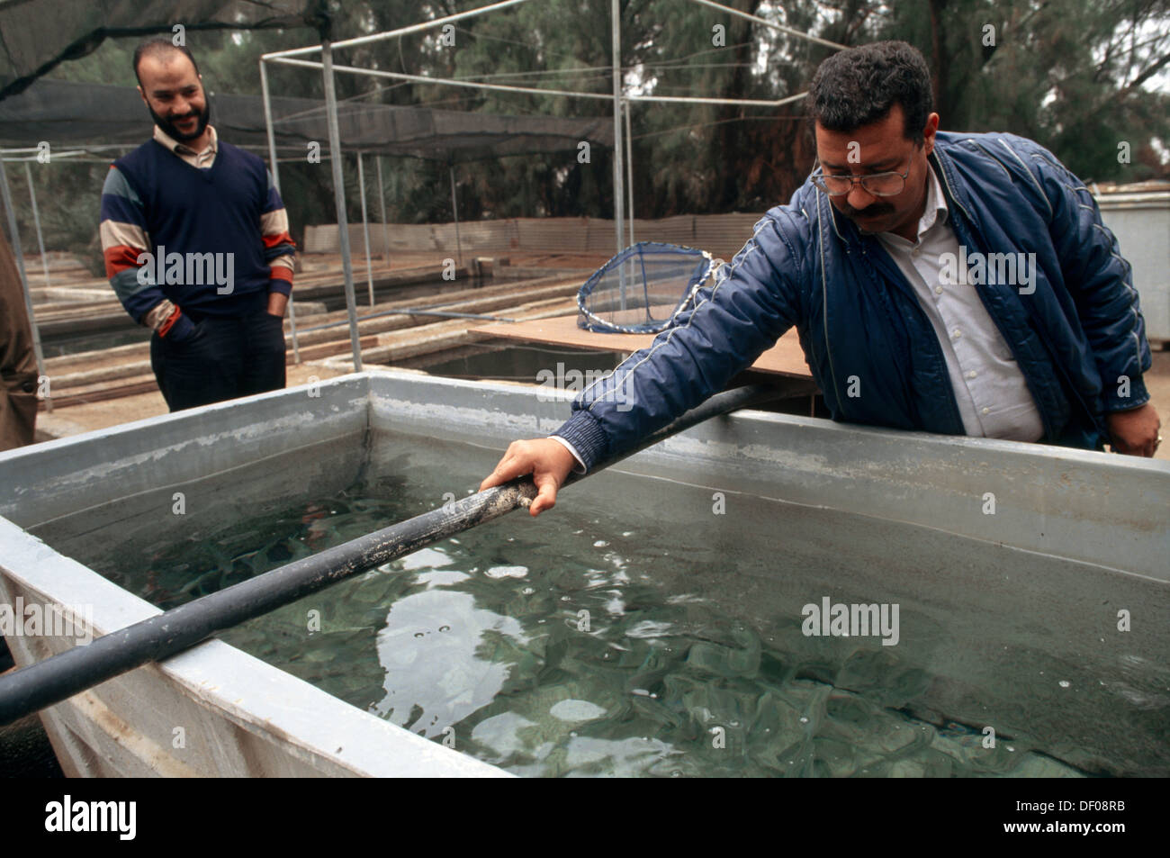 Fish Farm Kuwait Stock Photo - Alamy