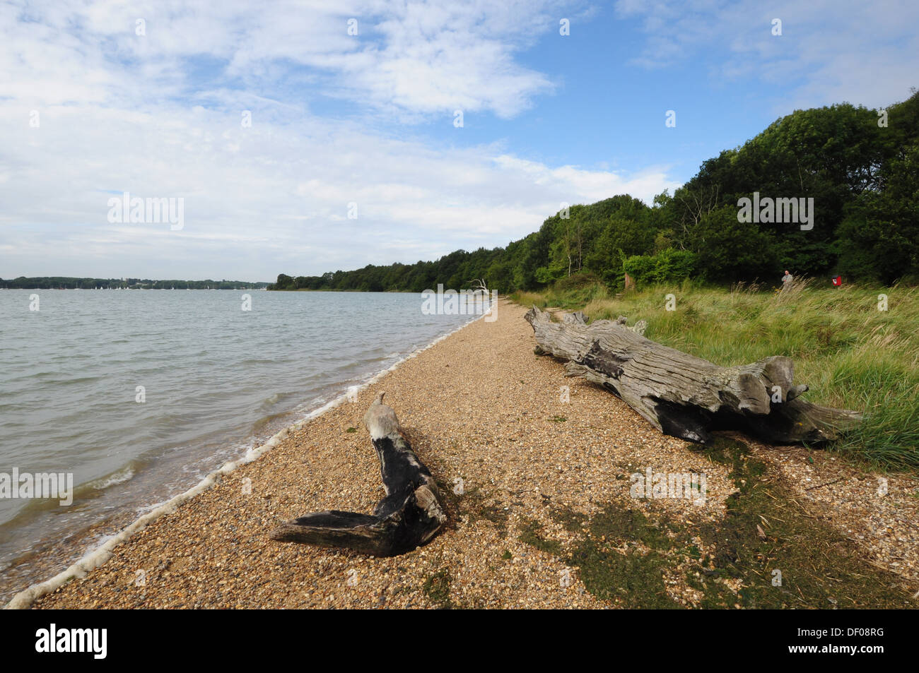River Orwell shore at Nacton Suffolk Stock Photo - Alamy