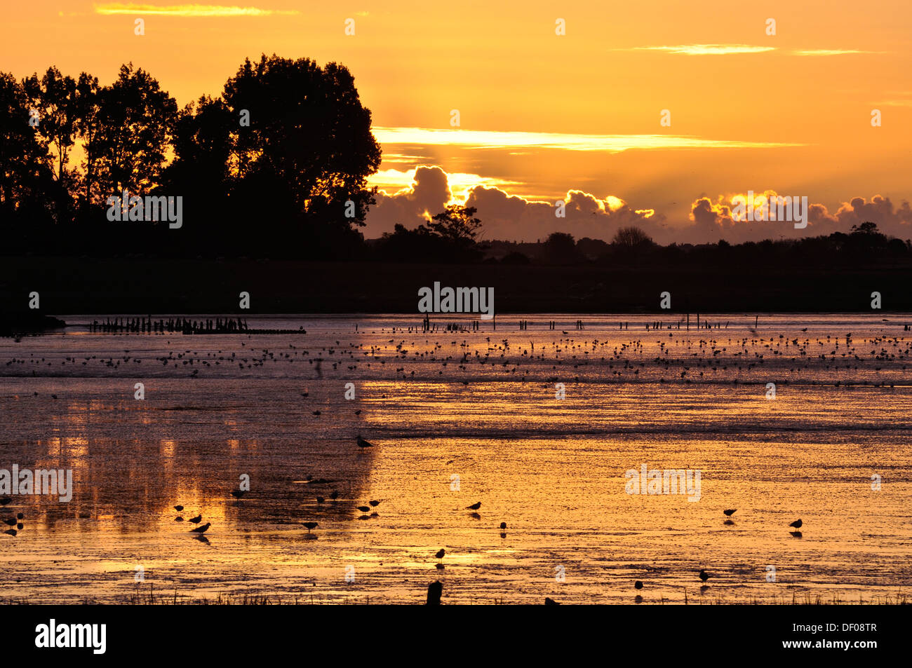 Blythburgh hi-res stock photography and images - Alamy