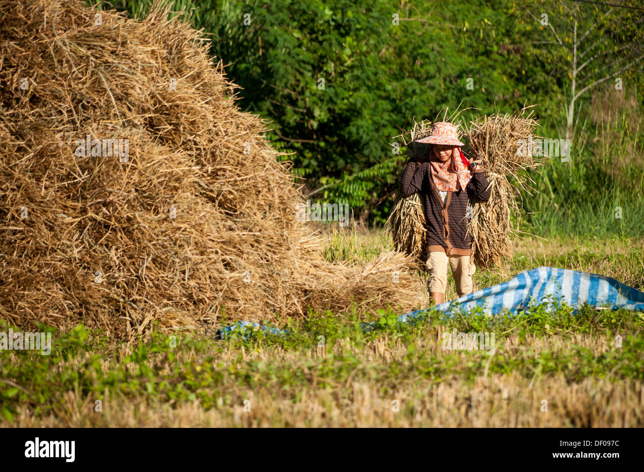 Rice Straw Hat