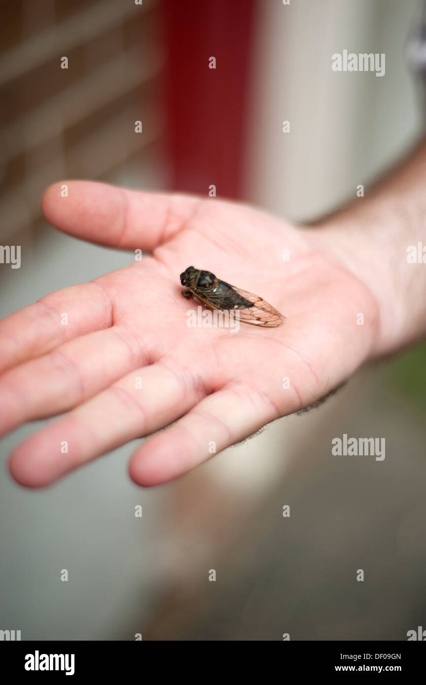 Dead hand hi-res stock photography and images - Alamy
