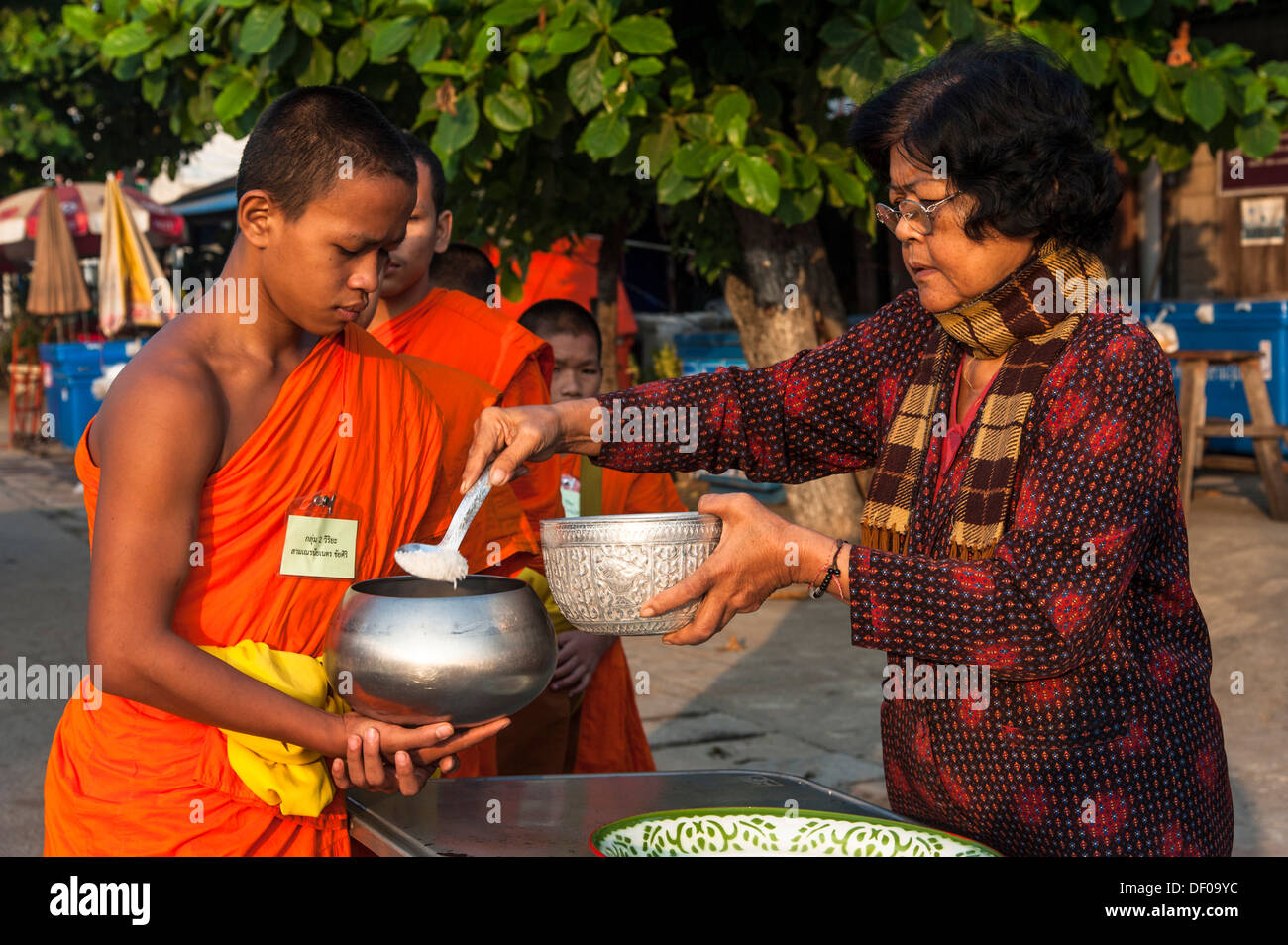 Morning alms round, a young Buddhist monk from a monastery school ...