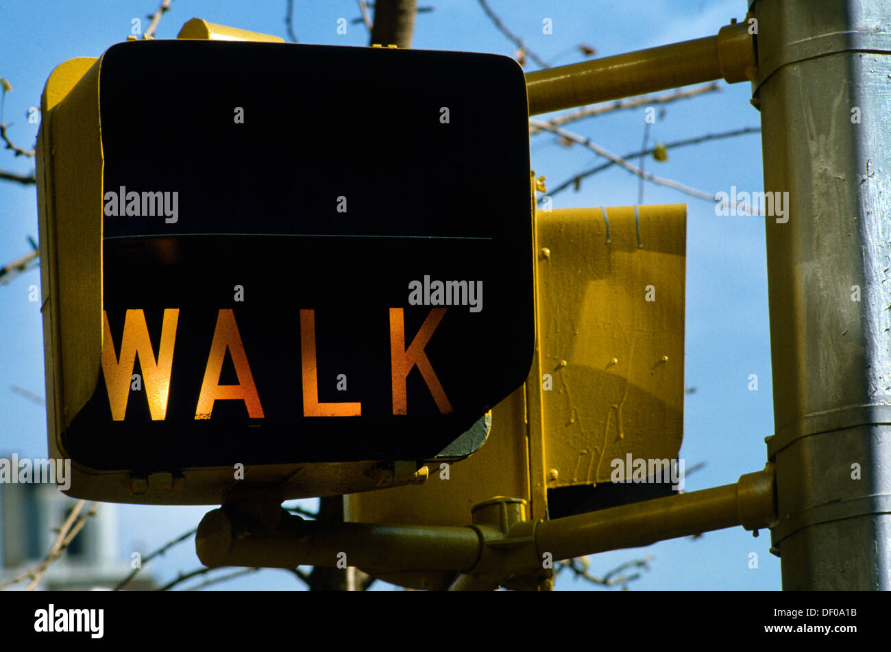 New York Usa Traffic Lights Walk Sign Stock Photo - Alamy