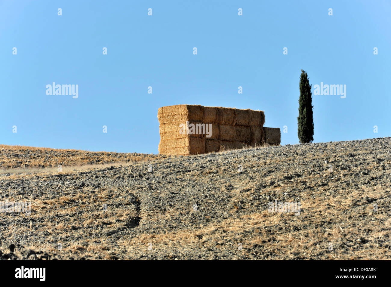 Landscape with bales of straw and a cypress tree, south of Siena, Crete ...