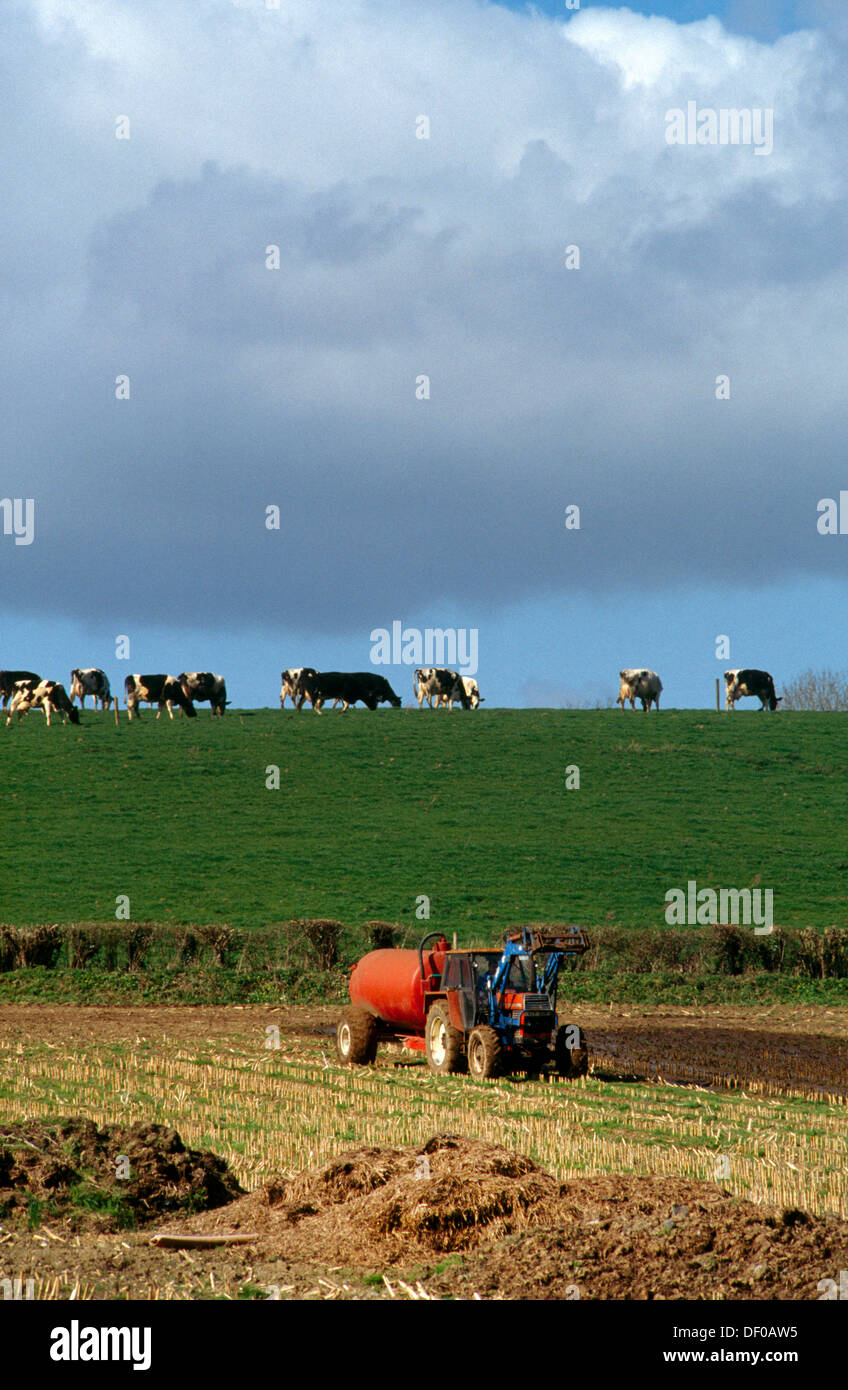 Meath Ireland Farmland Tractor Fresian Cows Stock Photo - Alamy