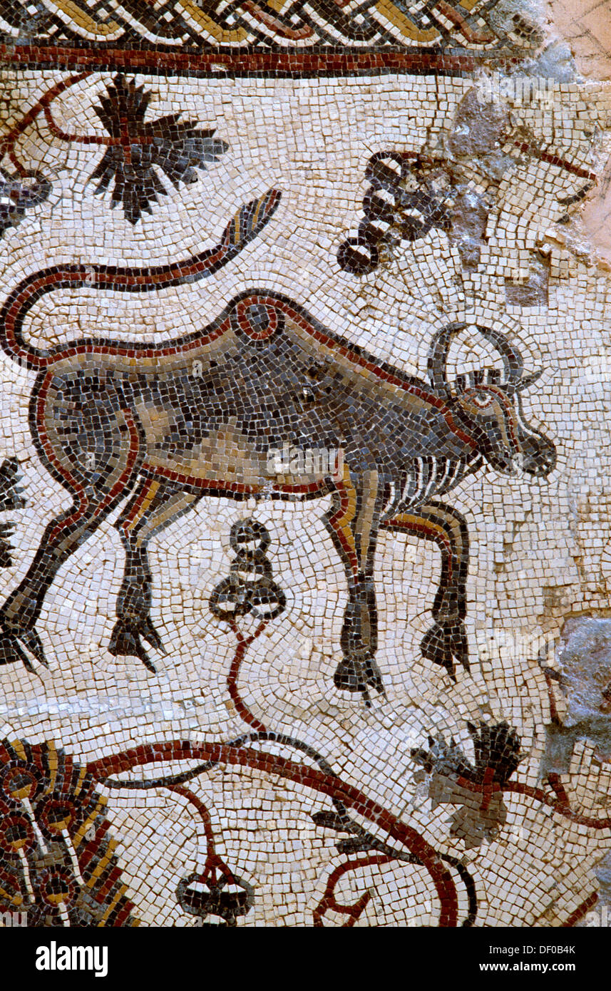 Mount Nebo Basilica of Moses Jordan Mosaic of Zebu Stock Photo - Alamy