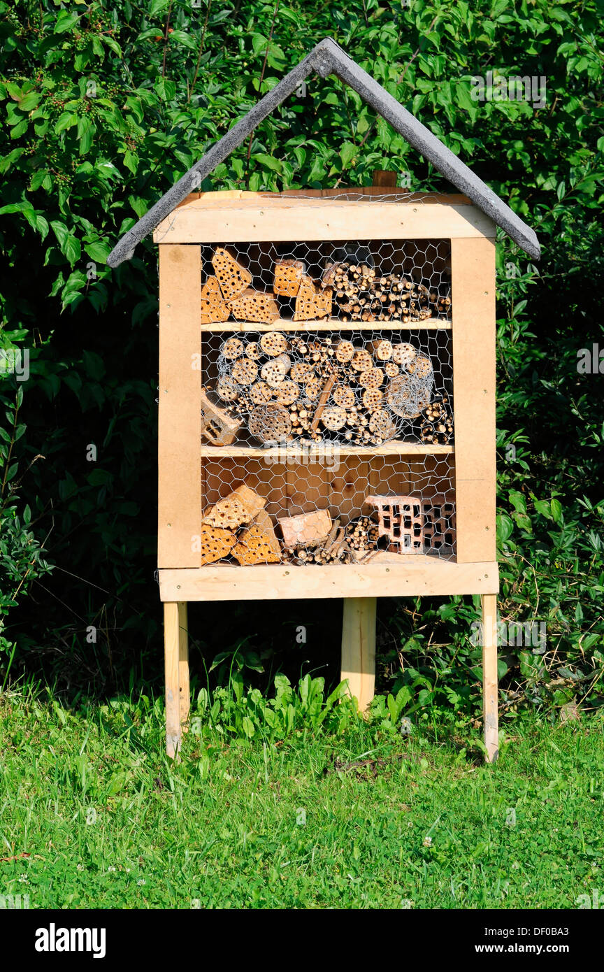 Insect box hi-res stock photography and images - Alamy