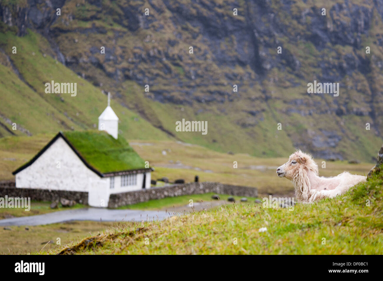 Saksun church faroe islands hi-res stock photography and images - Alamy