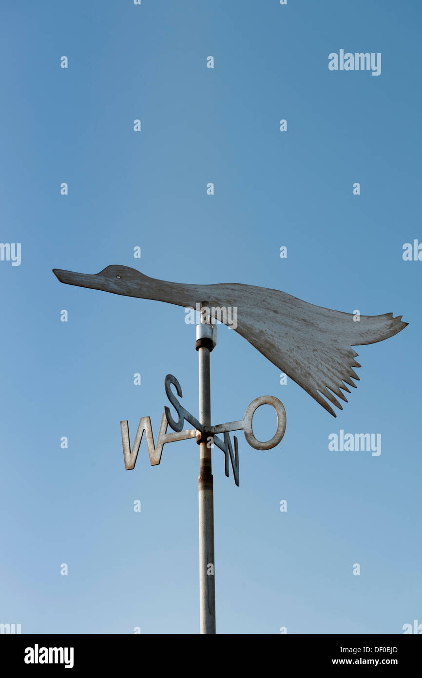 Wind vane bird hi-res stock photography and images - Alamy