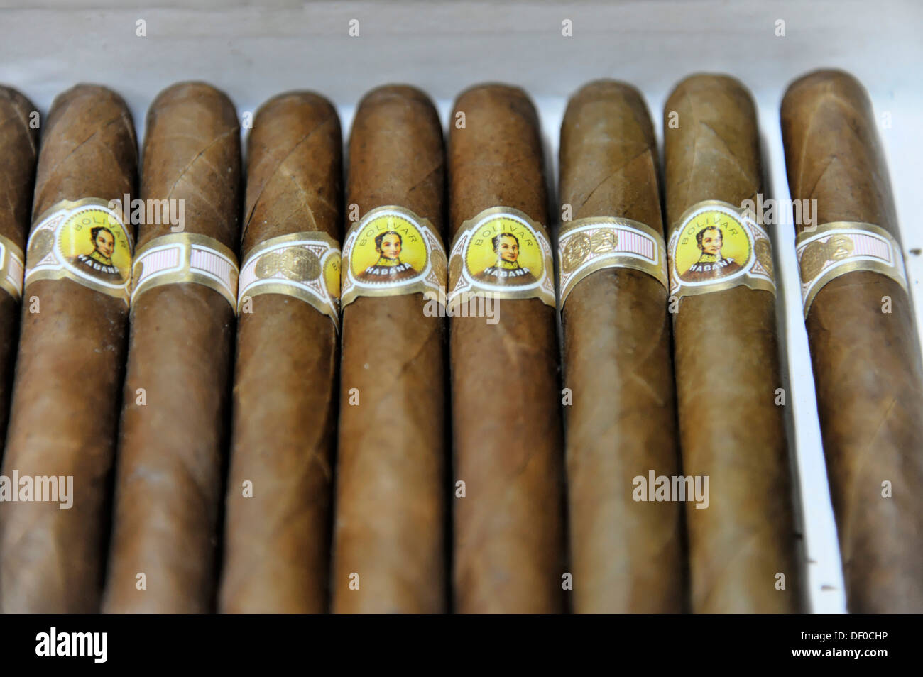 Bolivar cigars hi-res stock photography and images - Alamy